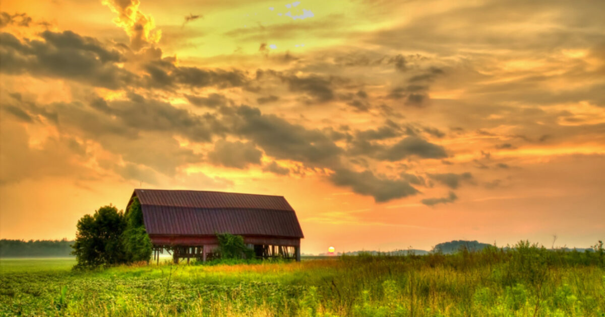 Chalcedon | reconstruction, america’s, christian, heartland