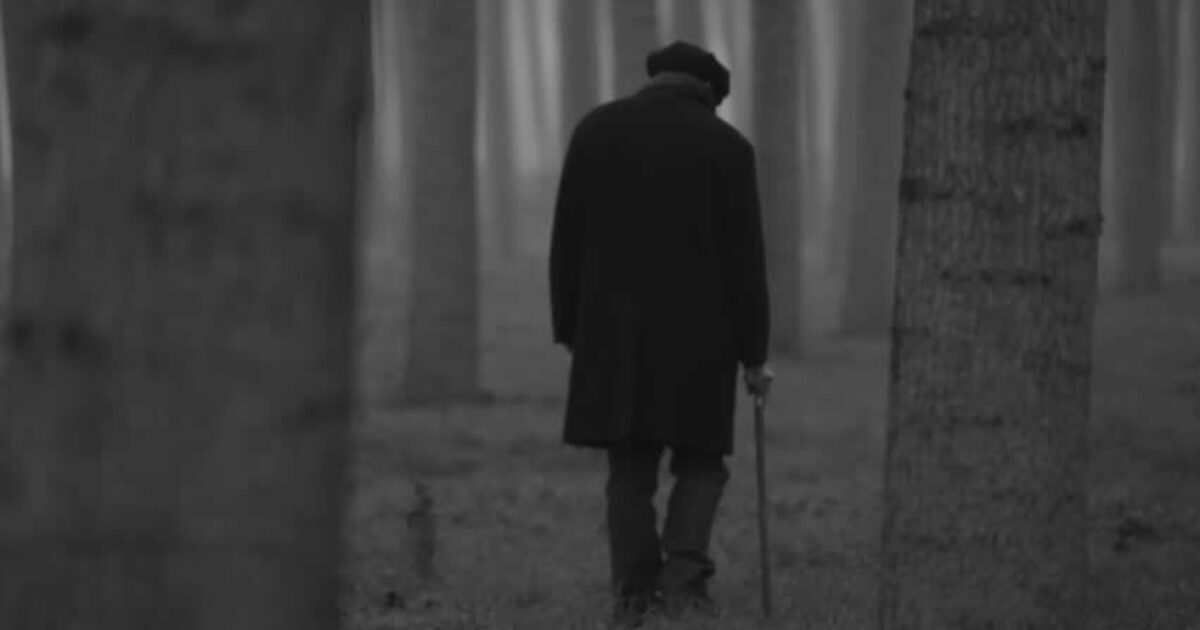 Chalcedon | shriveled, grown